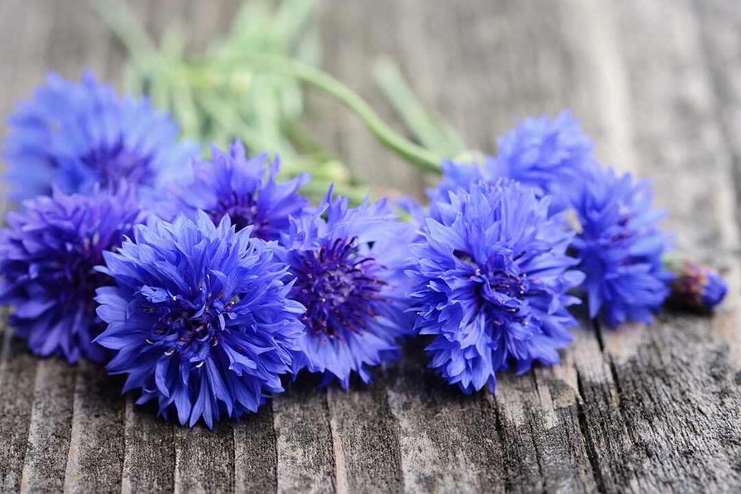 Descubre el significado del color azul eléctrico: ¡Fascinante!