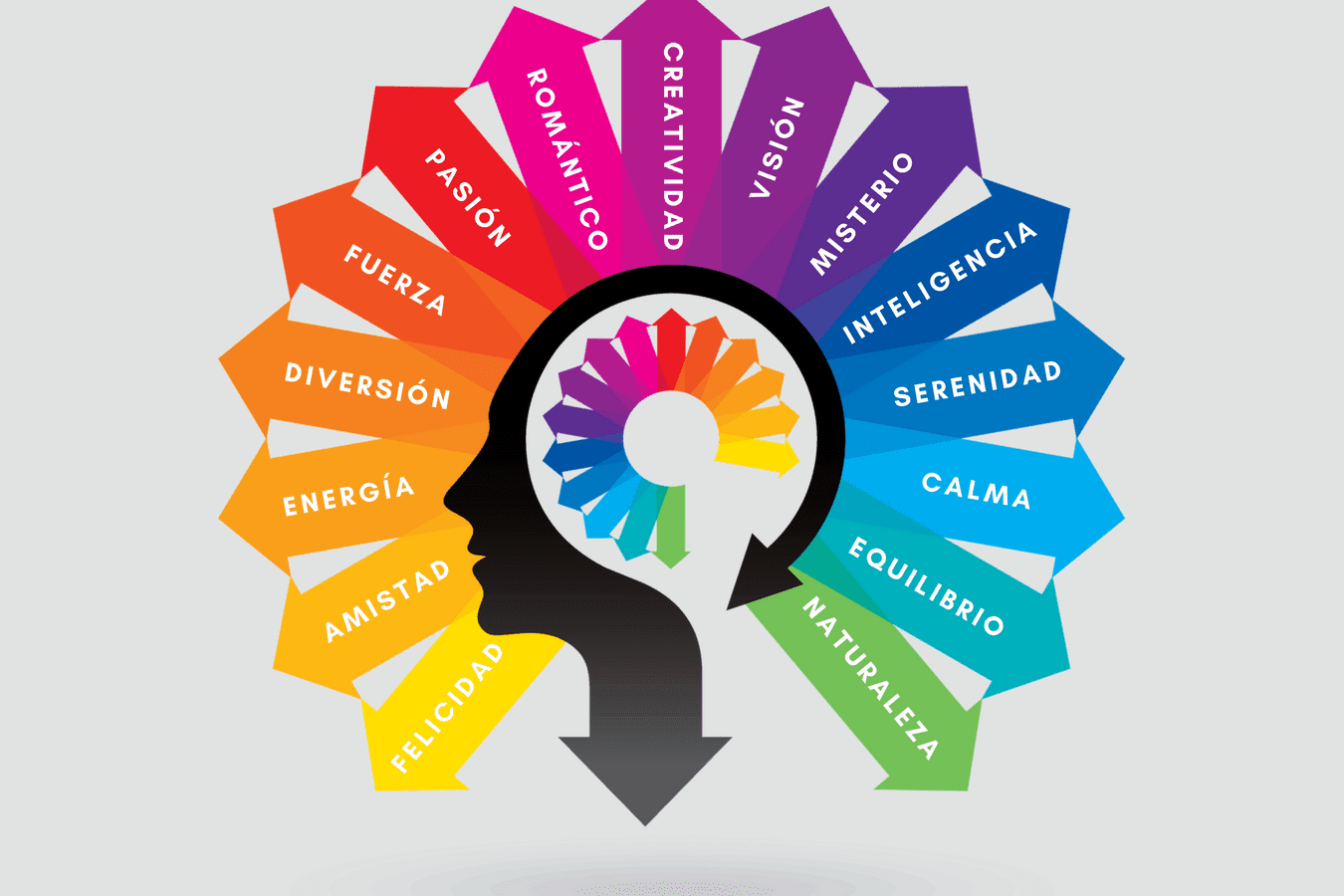 Descubre qué color representa mejor a la familia