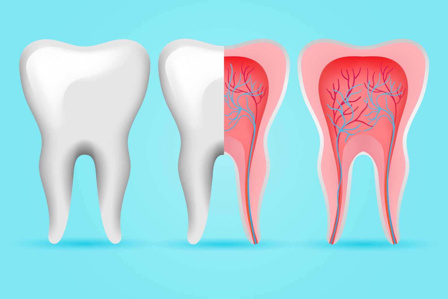 ¡Descubre qué significa si se te rompe una muela y cómo actuar!