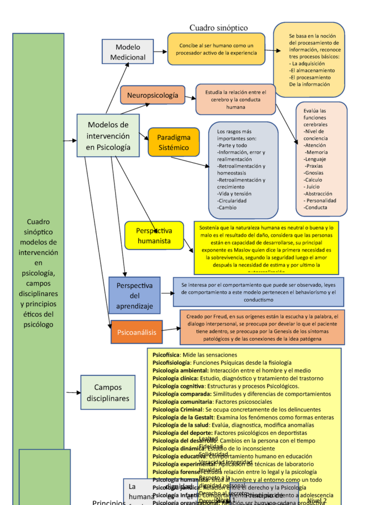 Descubre todo sobre los campos de la psicología en un cuadro sinóptico